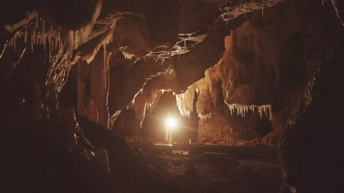 Sélection TV hebdomadaire